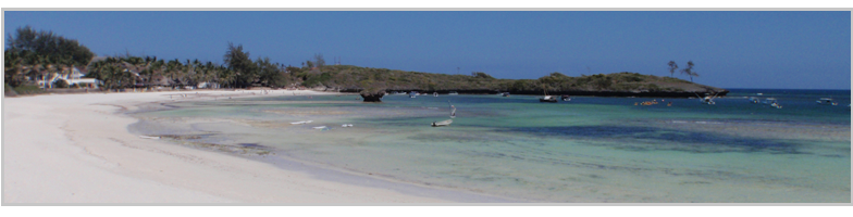 Mlilo : Community Tours & Safaris